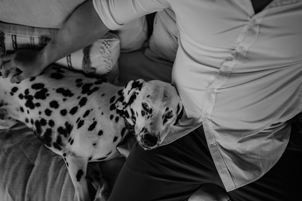 5 Helpful Tips for your Asheville Elopement - Karen Norian Photography