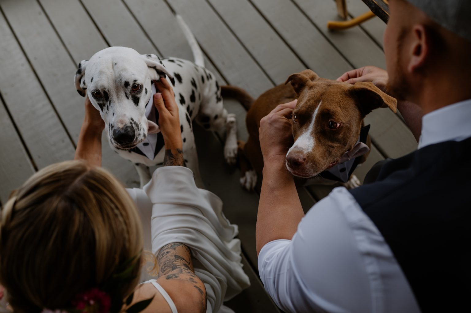 5 Helpful Tips for your Asheville Elopement - Karen Norian Photography